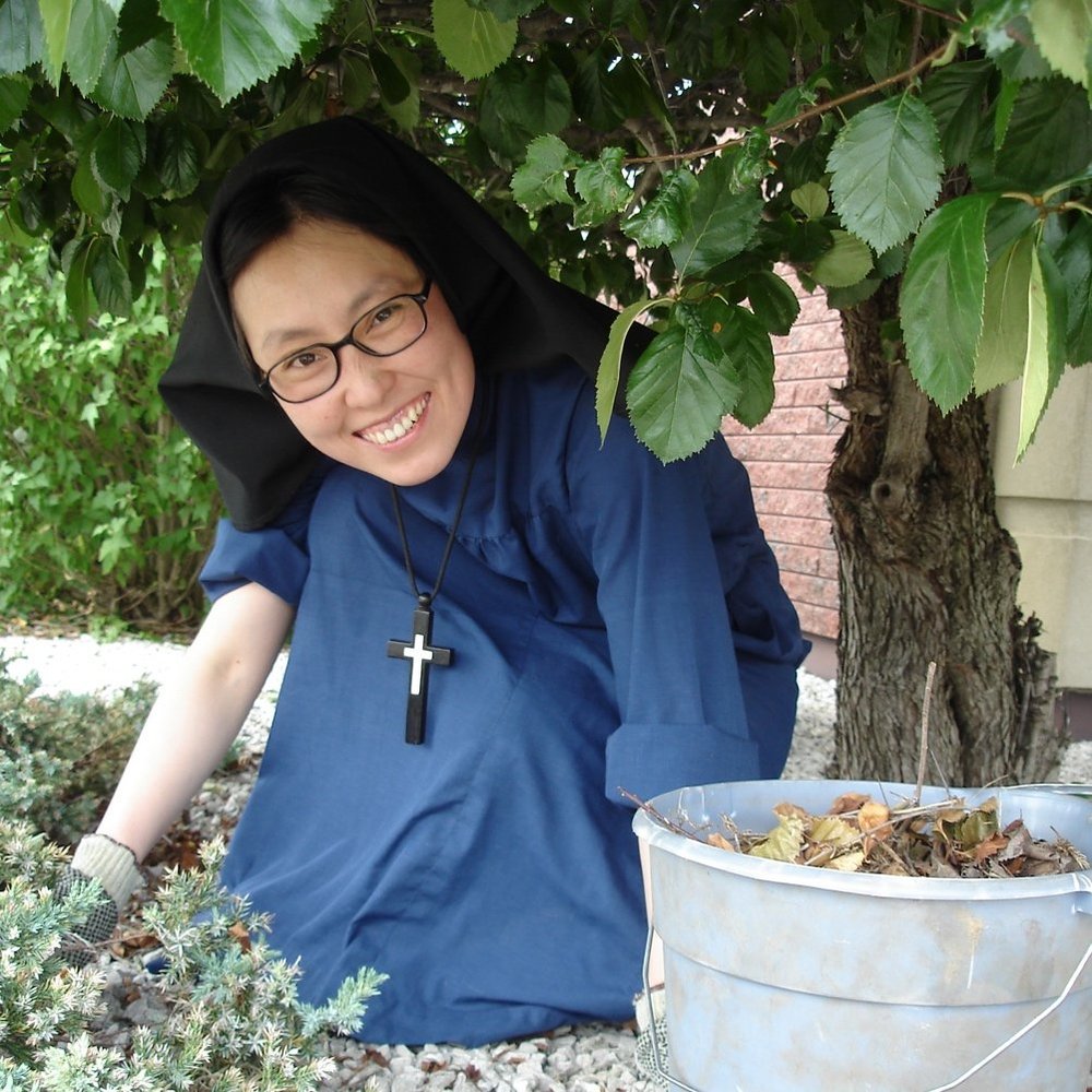 Religious Sisters of Mercy of Alma, Michigan