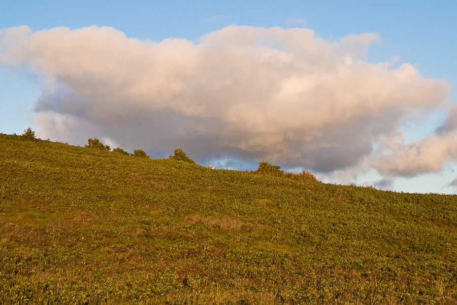Cape Breton | Gary Samson Photography