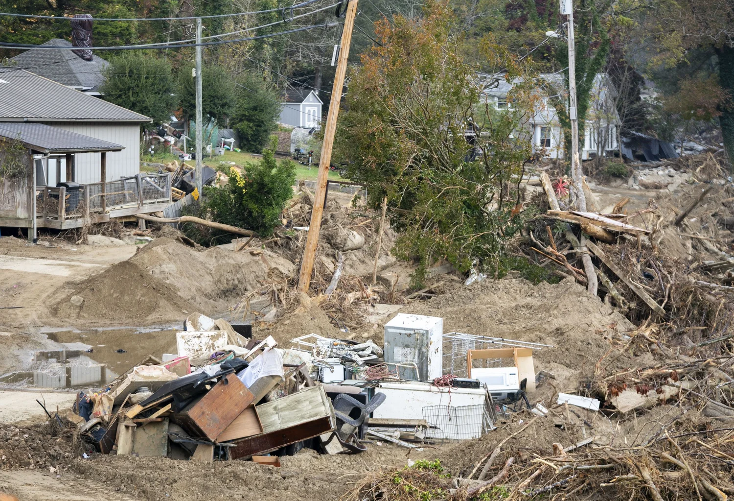 Bat Cave fights long road to recovery — Soda Citizen - Photo Stories ...