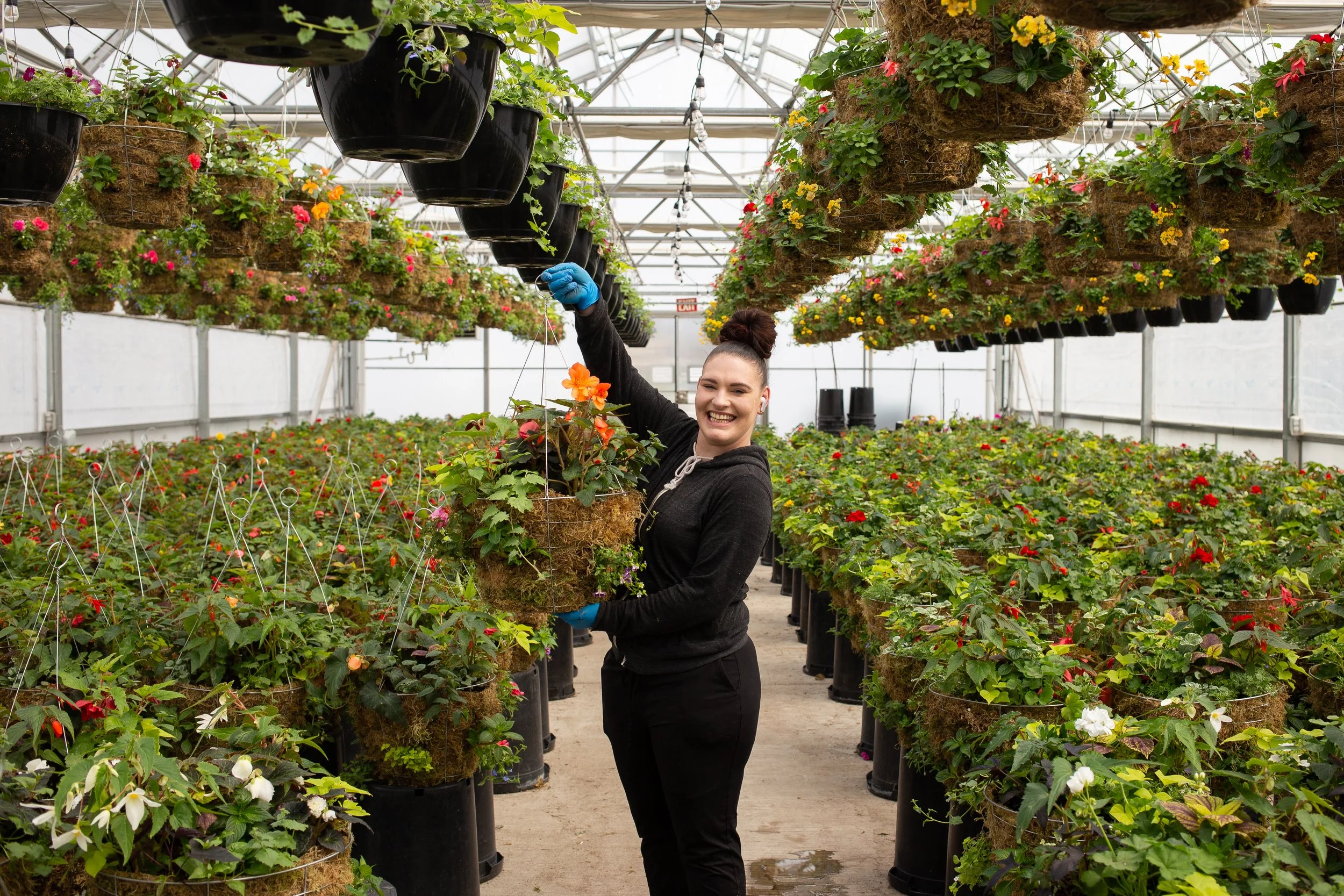 Farm 12 — Step By Step