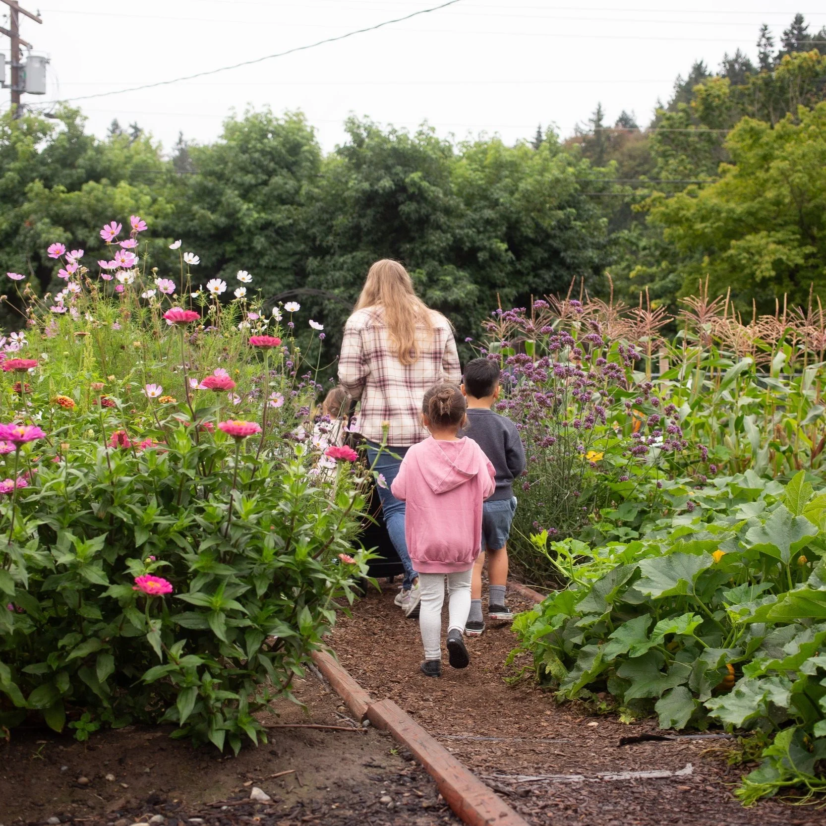 Early Learning Center — Step By Step
