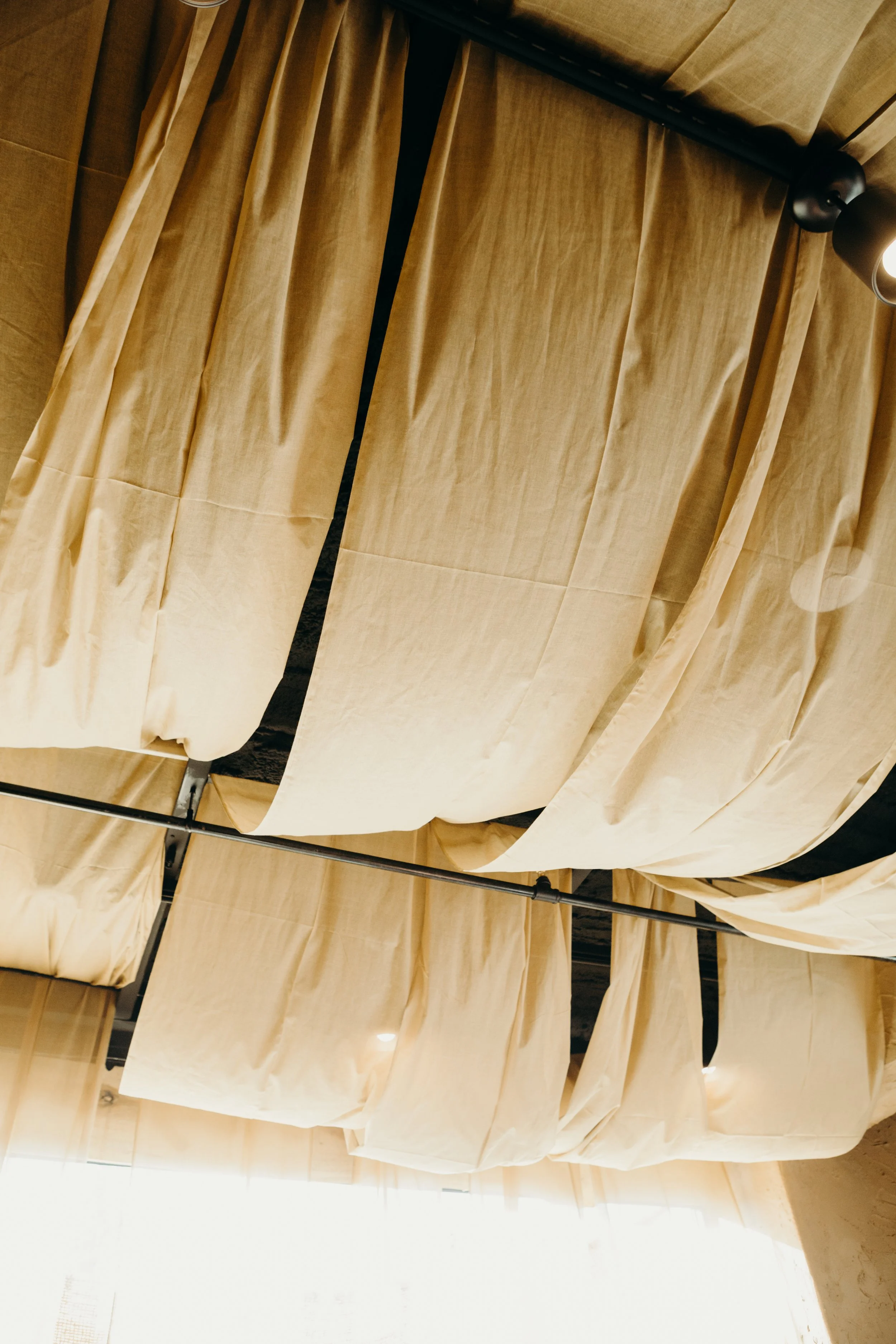 Cafe Babu: Where Greek and Indian Cultures Converge in Nashville’s ...