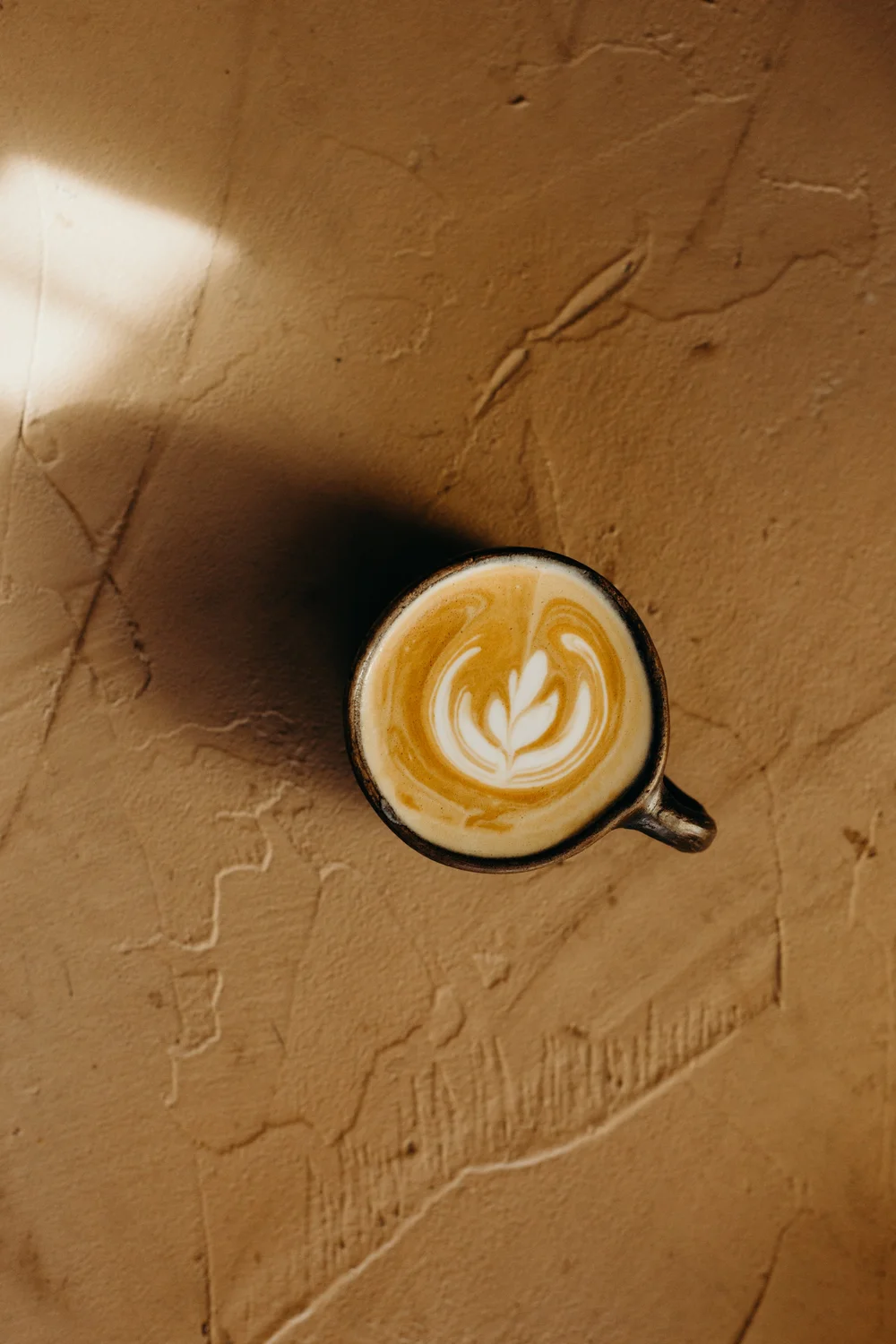 Cafe Babu: Where Greek and Indian Cultures Converge in Nashville’s ...