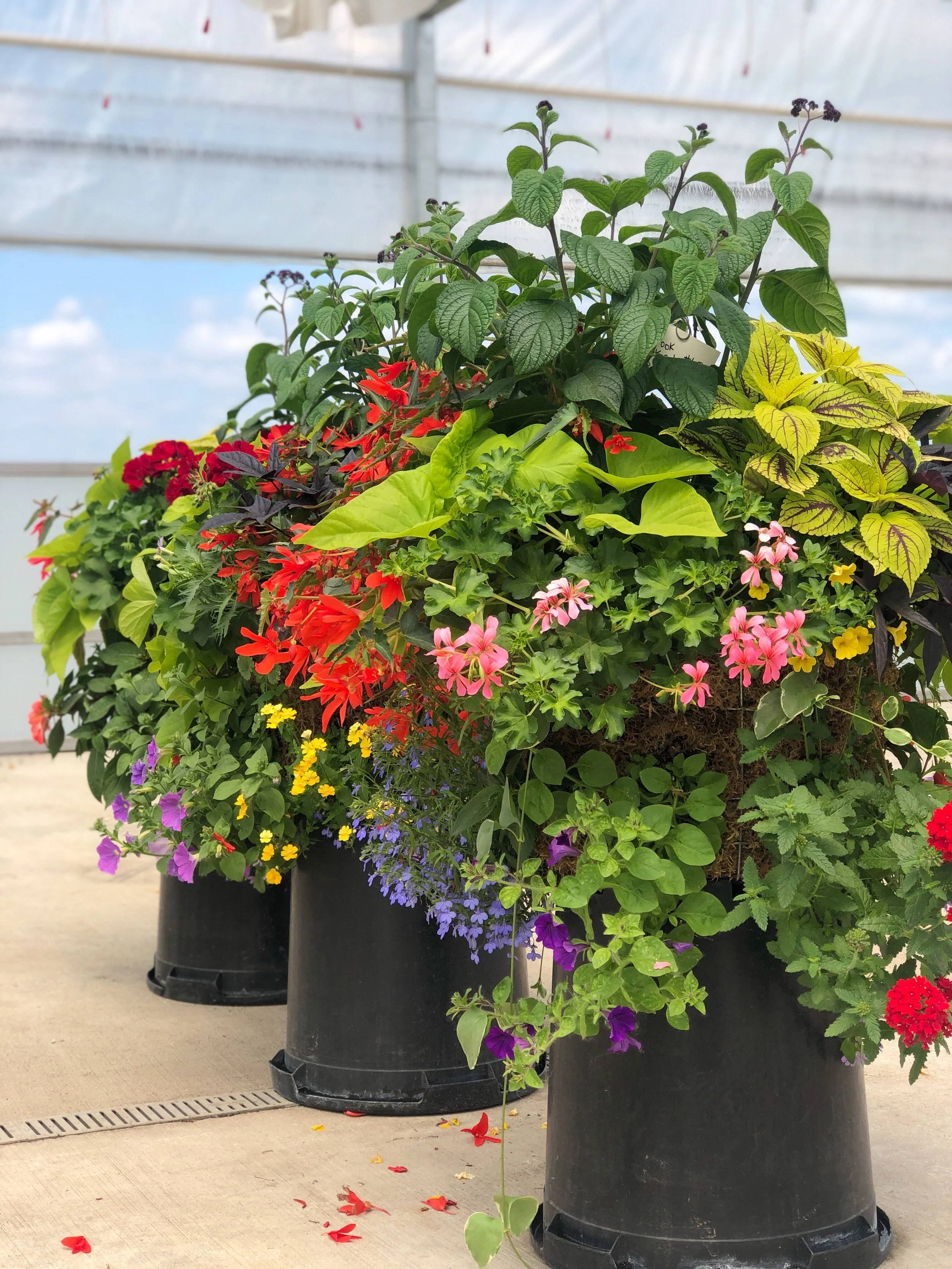 Farm 12 - Venue, Restaurant & Coffee Shop in Puyallup