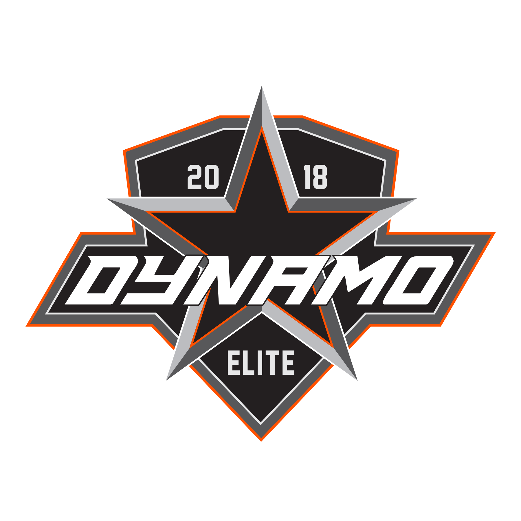 Team Branding — Hockey Innovations