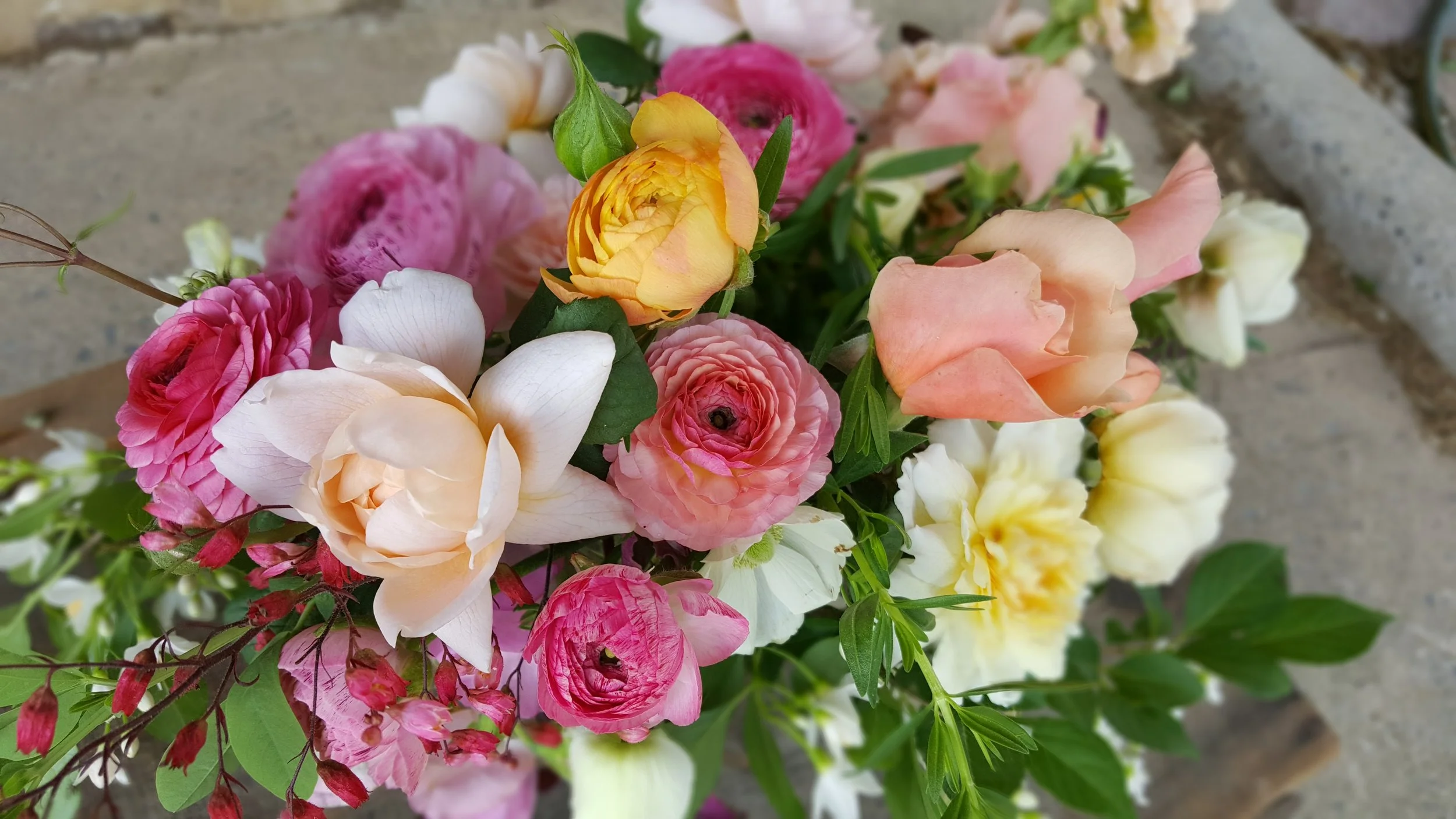 Fresh Cut Flowers & Seasonal Arrangements — Cool Spring Garden