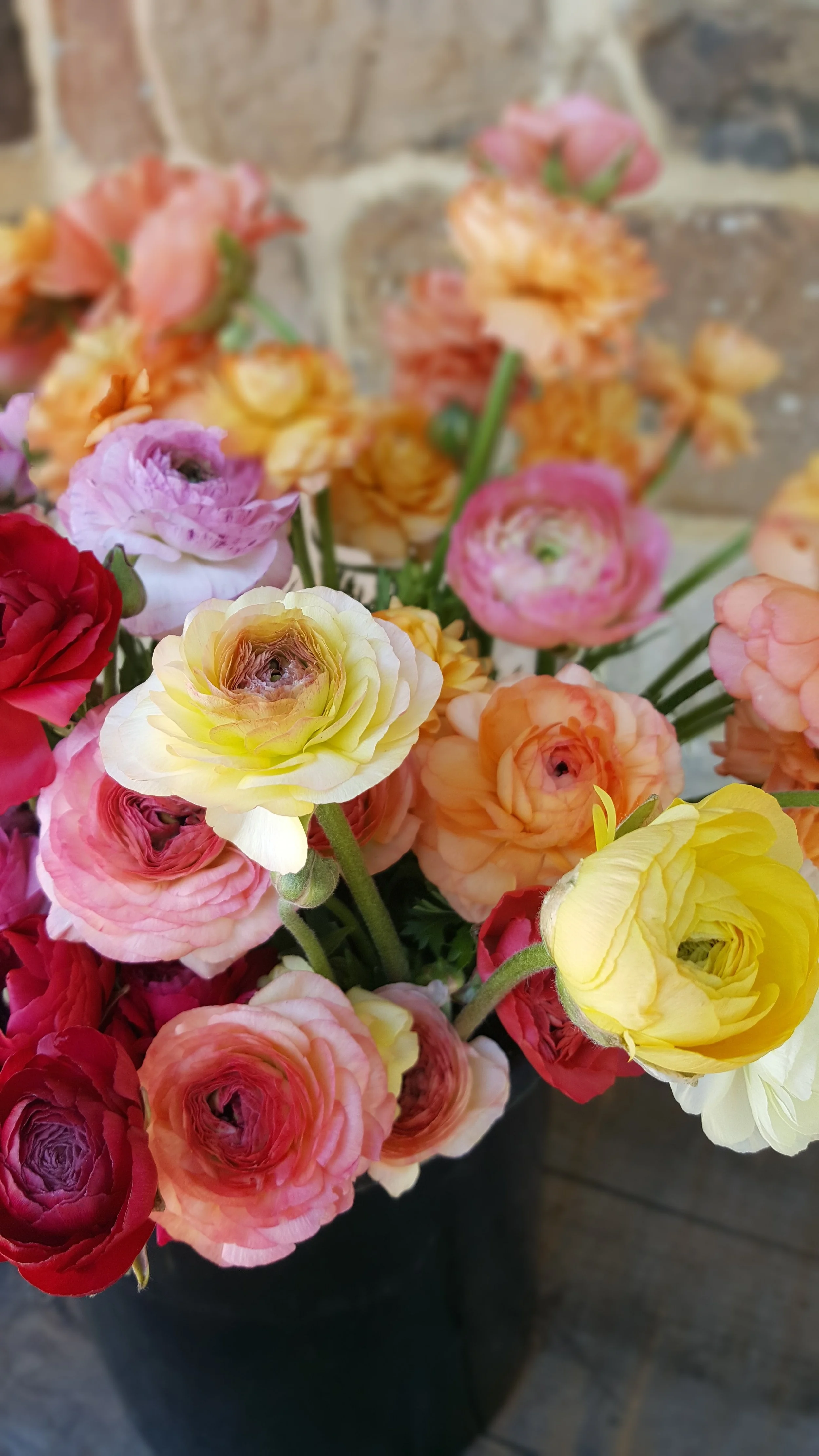 Fresh Cut Flowers & Seasonal Arrangements — Cool Spring Garden