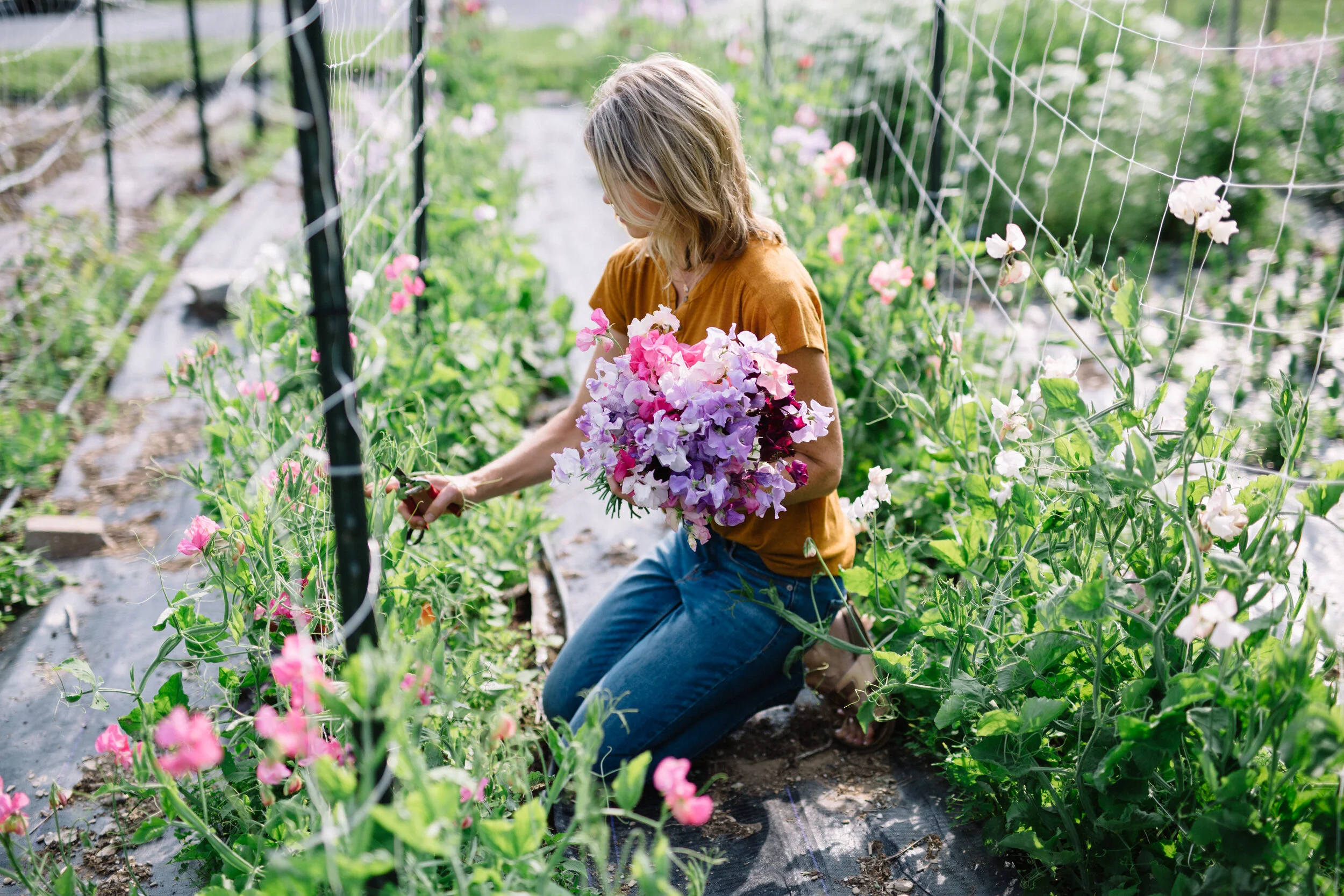 On the Farm — Cool Spring Garden