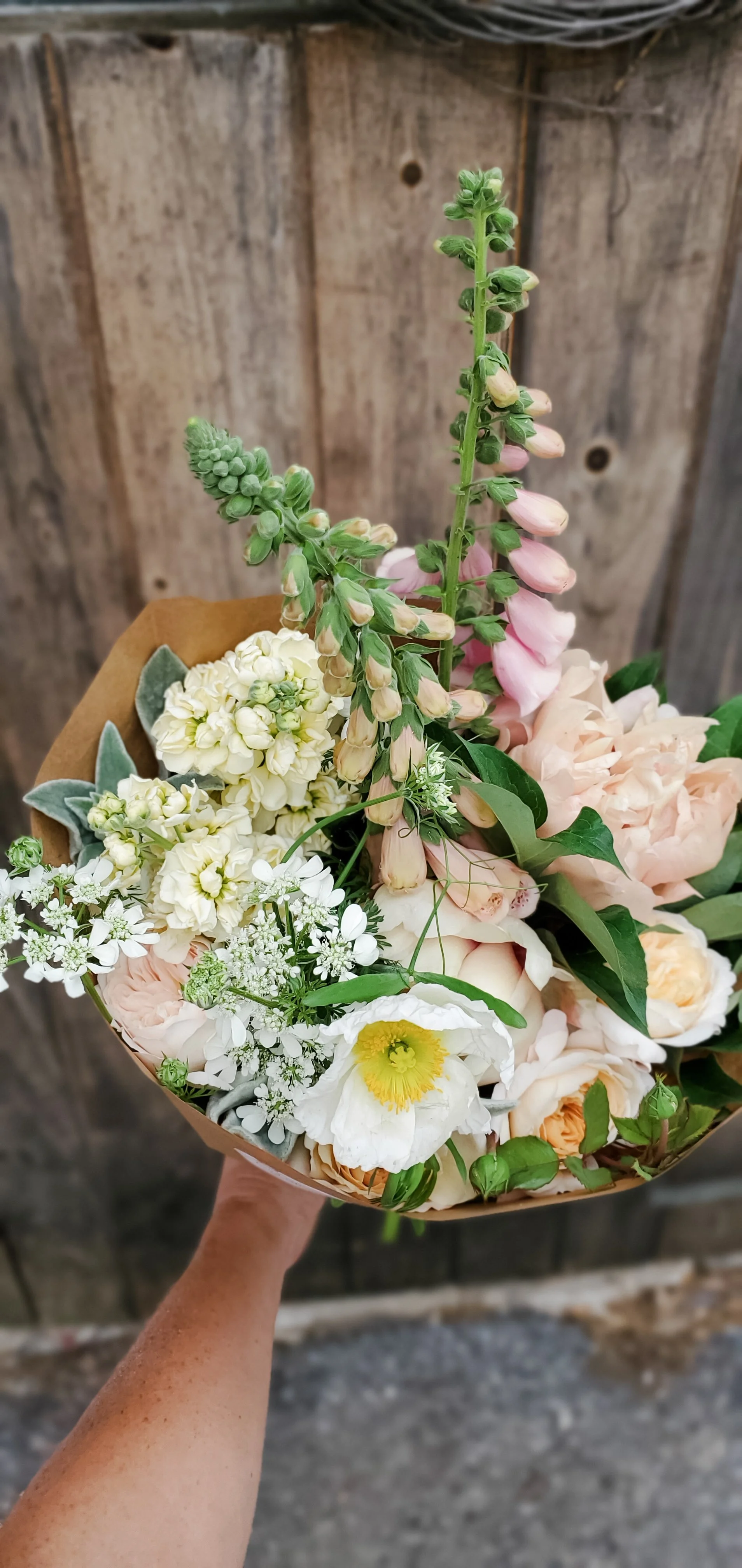 Fresh Cut Flowers & Seasonal Arrangements — Cool Spring Garden