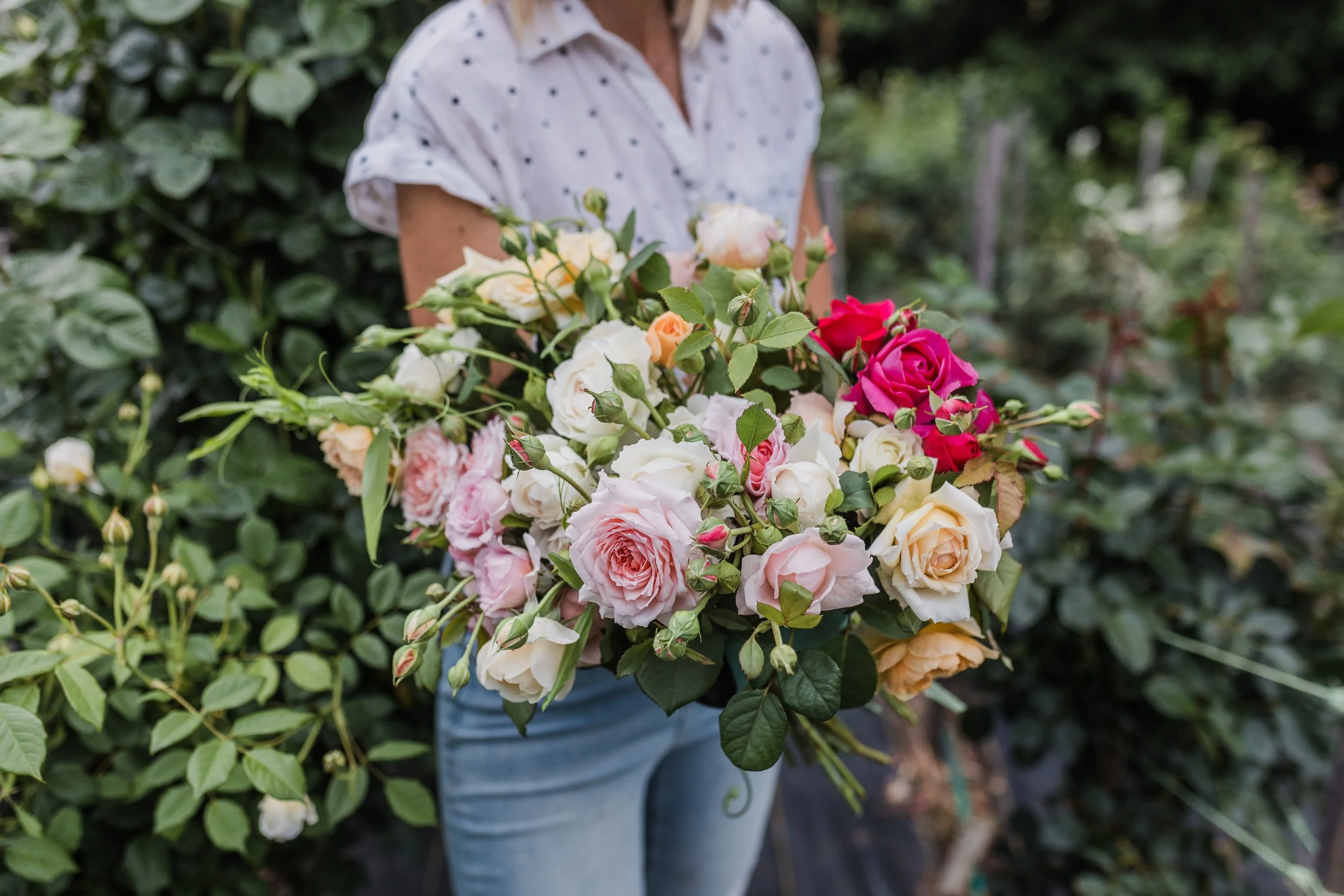 Fresh Cut Flowers & Seasonal Arrangements — Cool Spring Garden