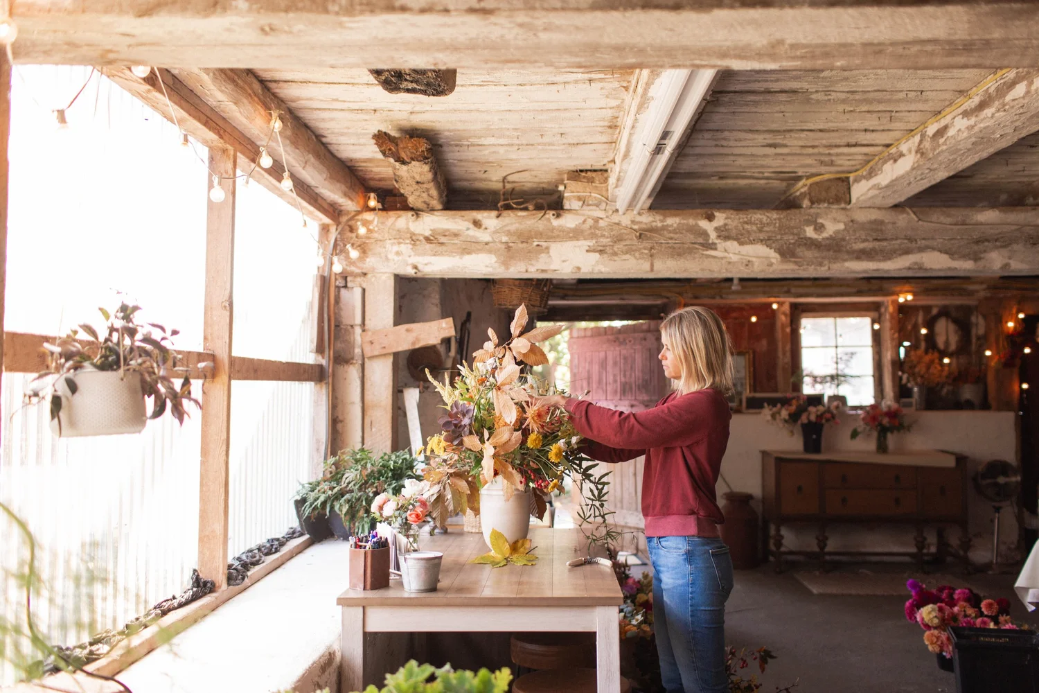 On the Farm — Cool Spring Garden