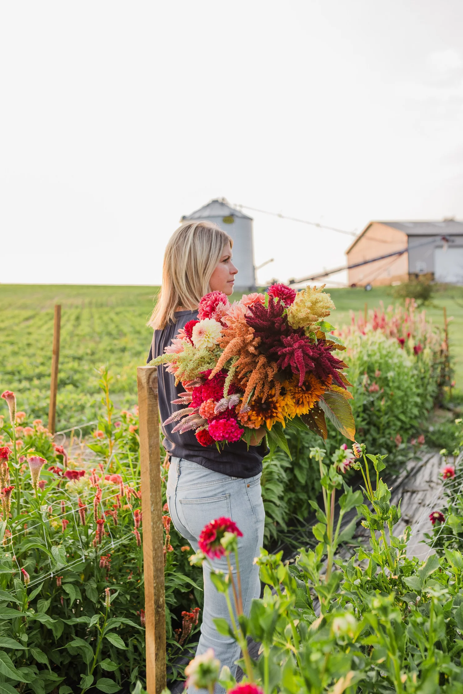 On the Farm — Cool Spring Garden