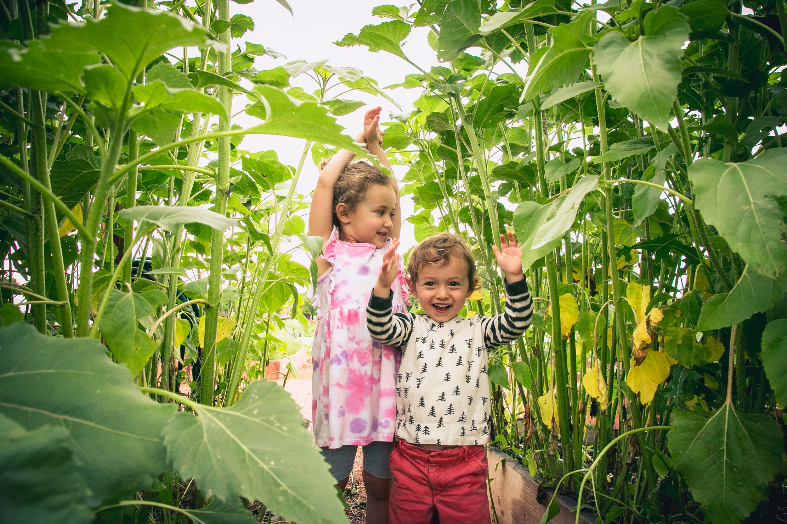 Donate — Ekar Farm