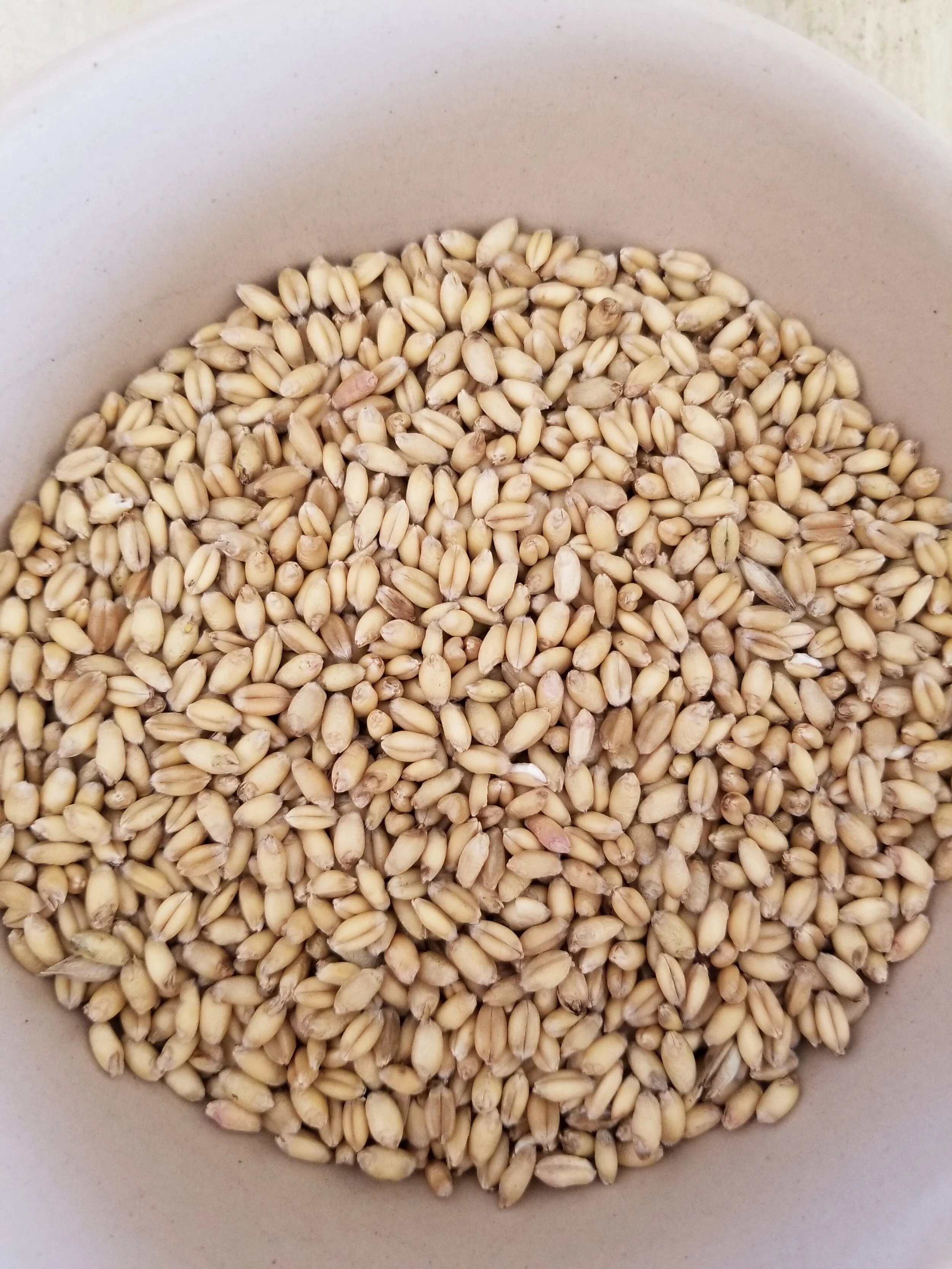 Our Products — MEADOWLARK ORGANICS