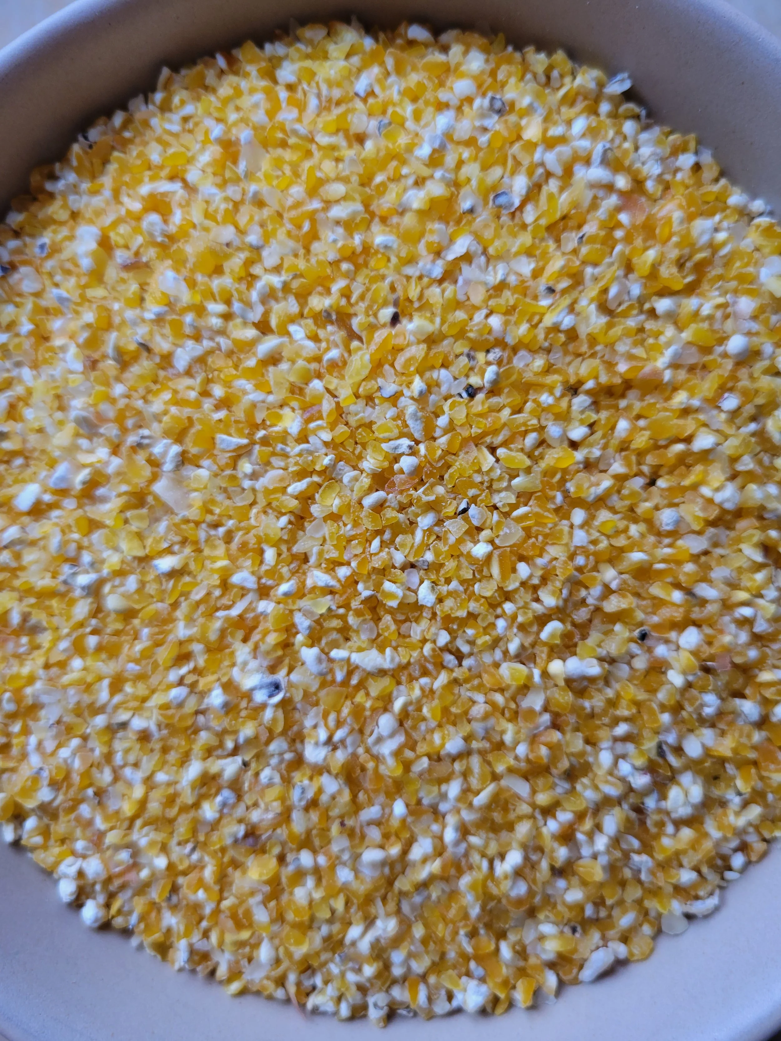 Organic White Dent Corn — MEADOWLARK ORGANICS