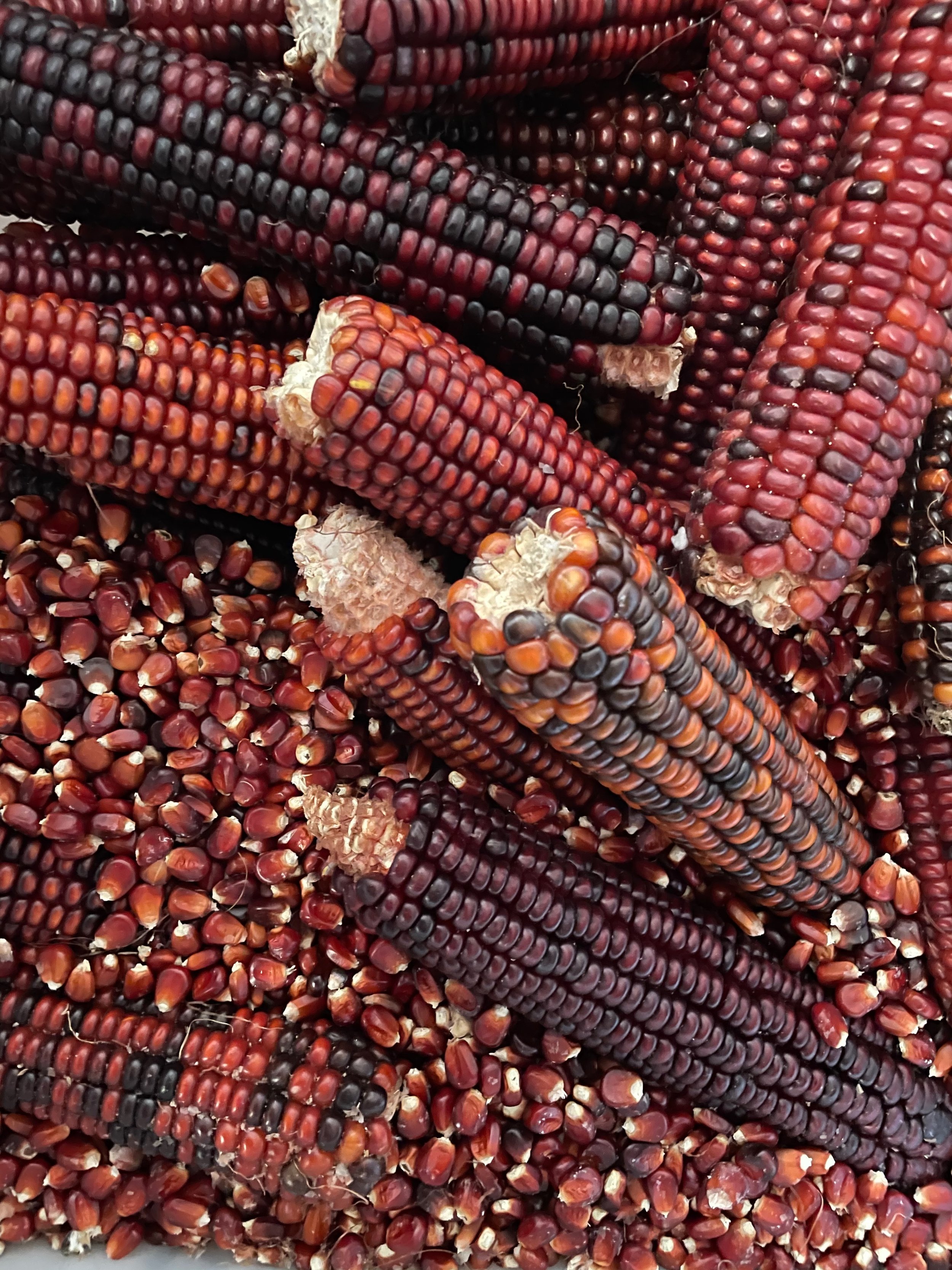 Our Products — MEADOWLARK ORGANICS