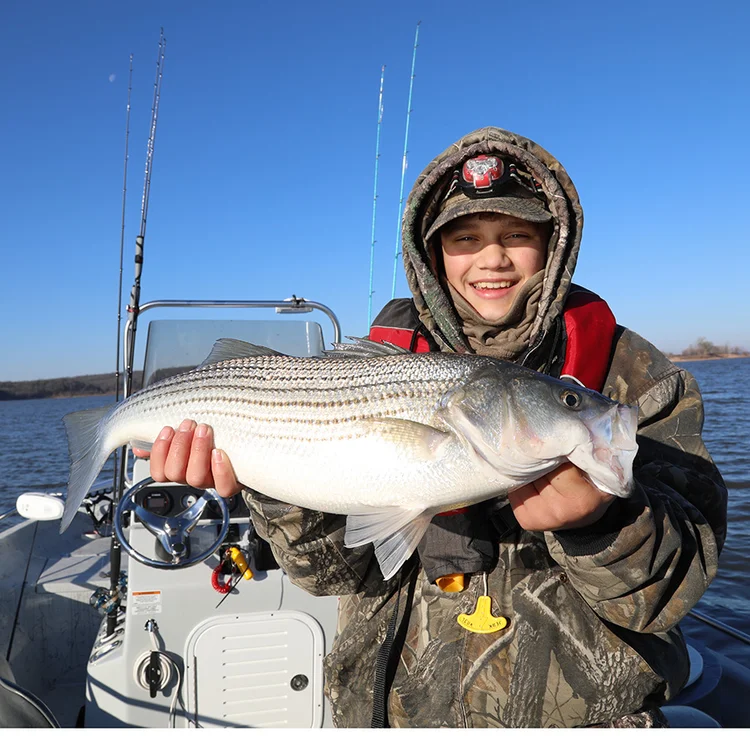 Lake Texoma Striper Fishing Guide | Bearded Dog Striper Guide