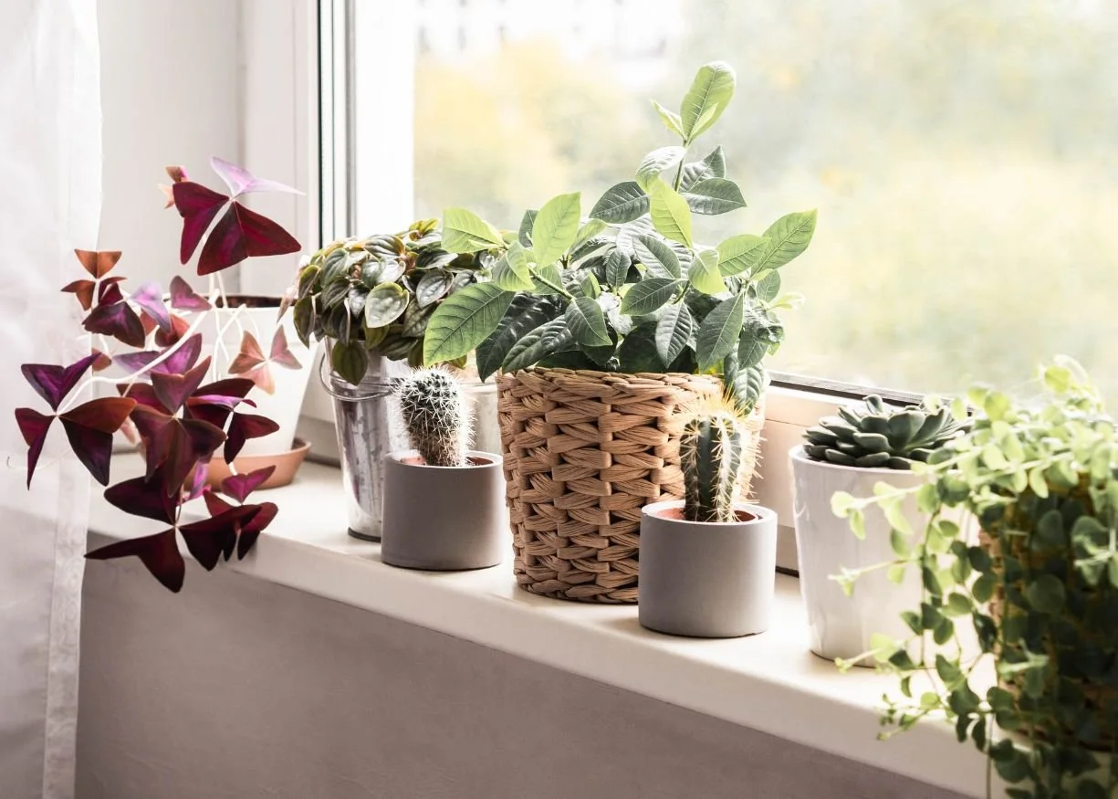 Create a stunning DIY flower stand at home — Krafty Planner