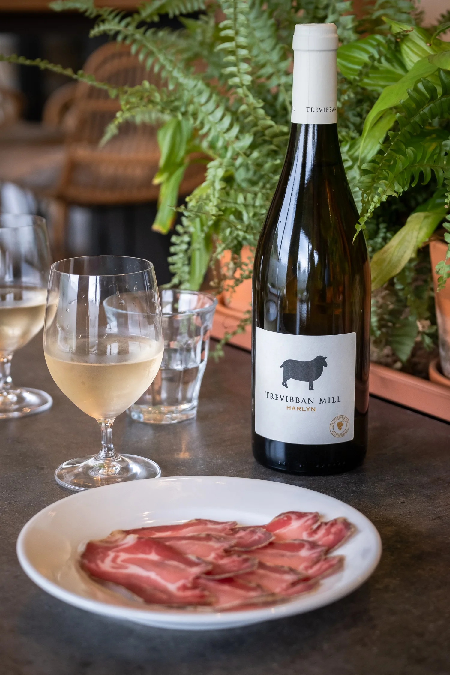 Meet Me by the Sea | Cornwall Lifestyle Blog —Cornwall Blog -Barnaby's ...