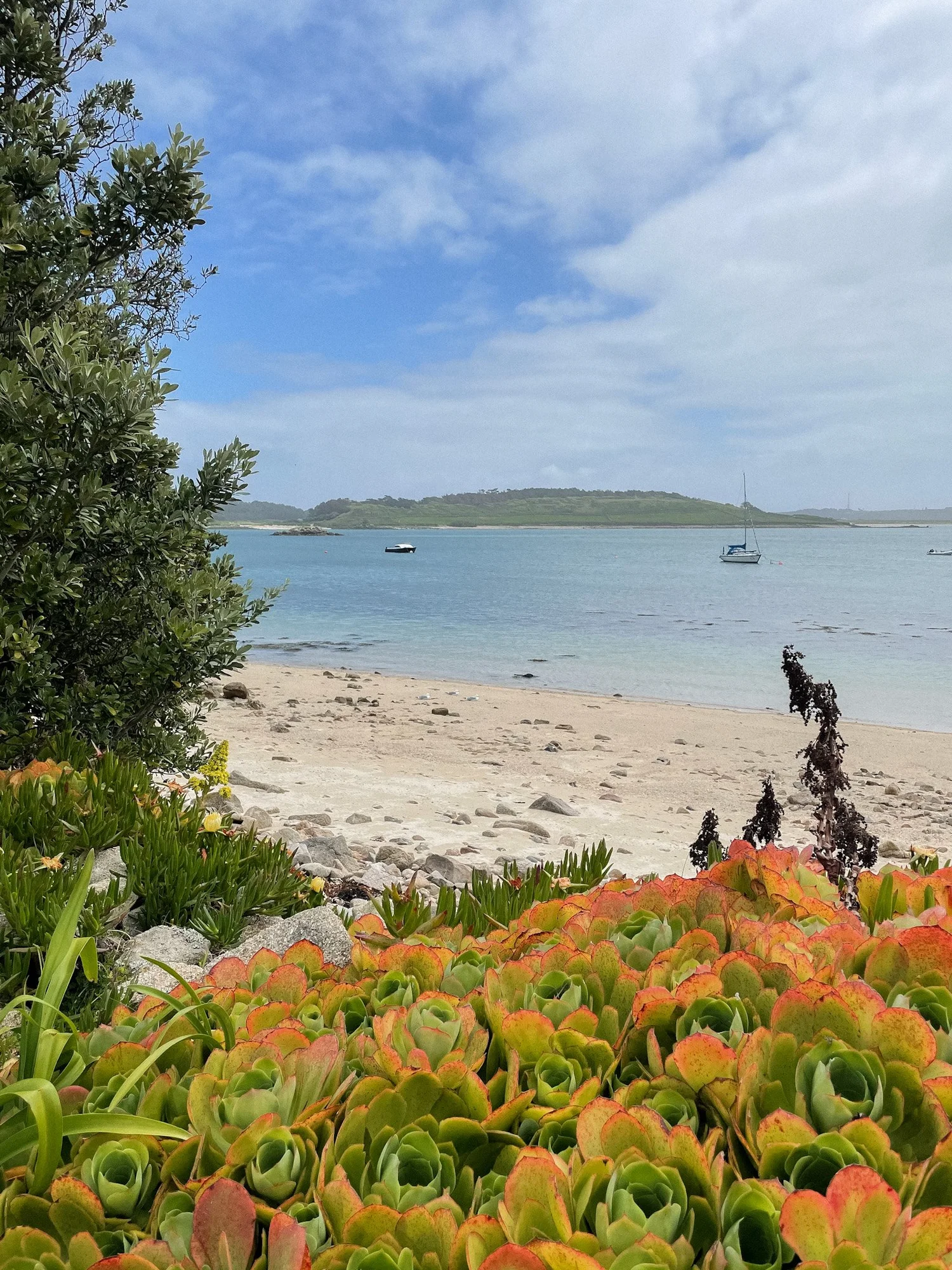 Meet Me by the Sea | Cornwall Lifestyle Blog —Cornwall Blog -A trip to ...