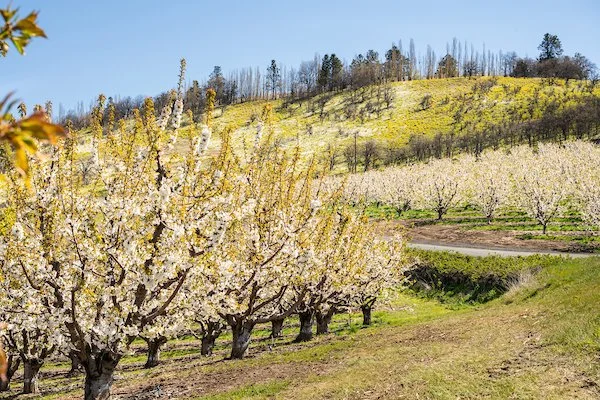 Events — Oregon Agricultural Trust