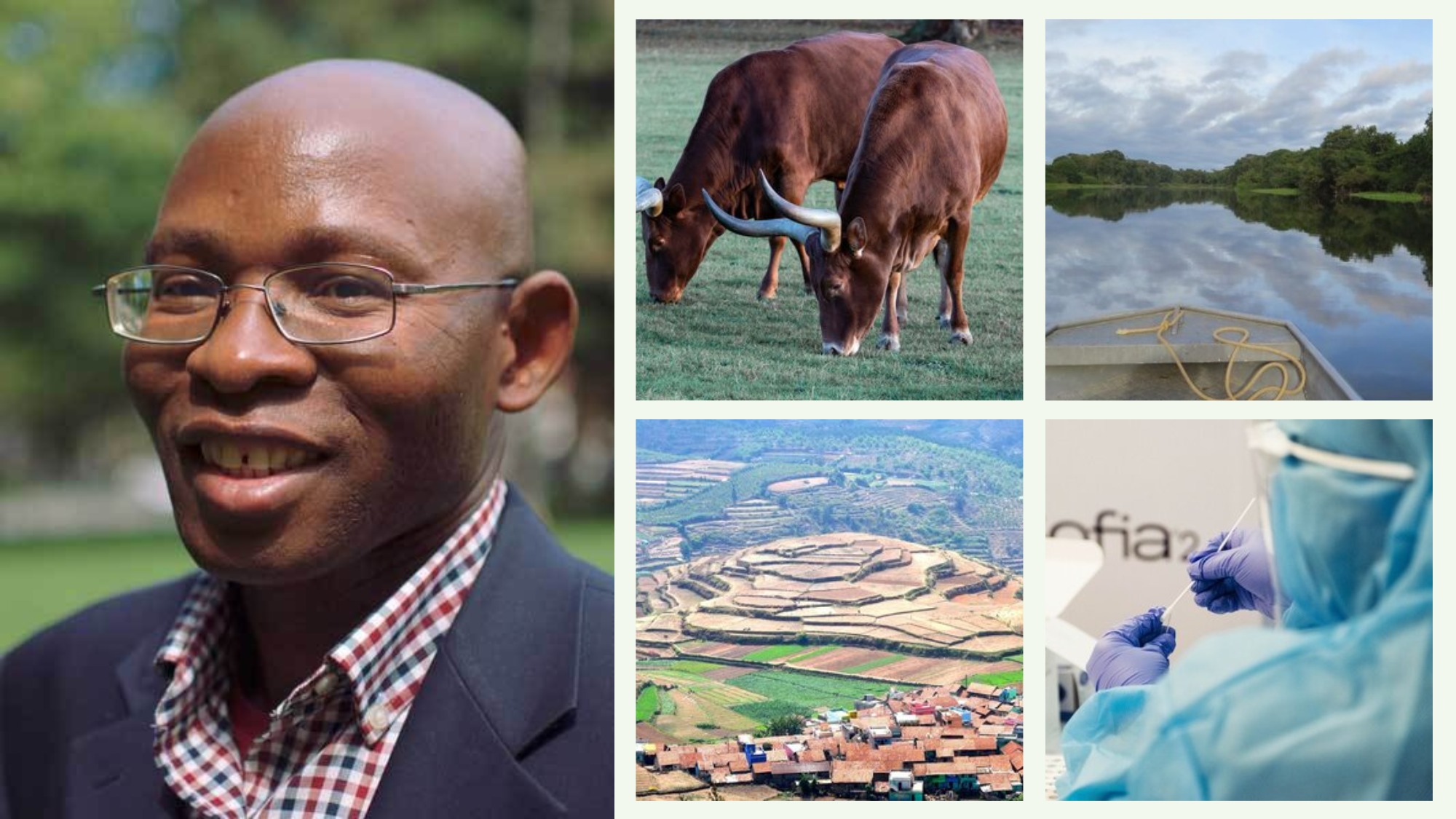 Recent Publications — Chidi Oguamanam