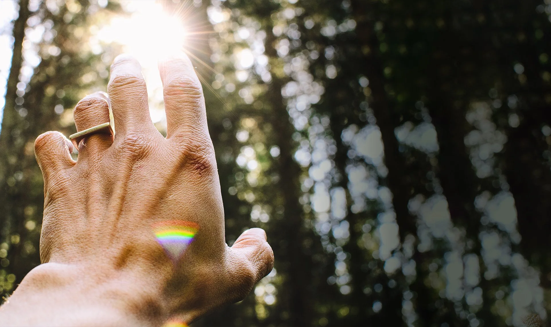 New Earth Healing Gifts & Services