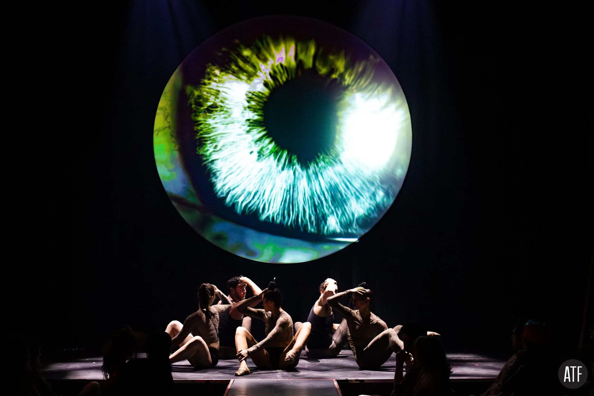 hybrid movement company