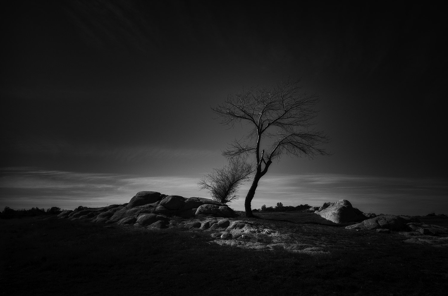 David Mullin Photography