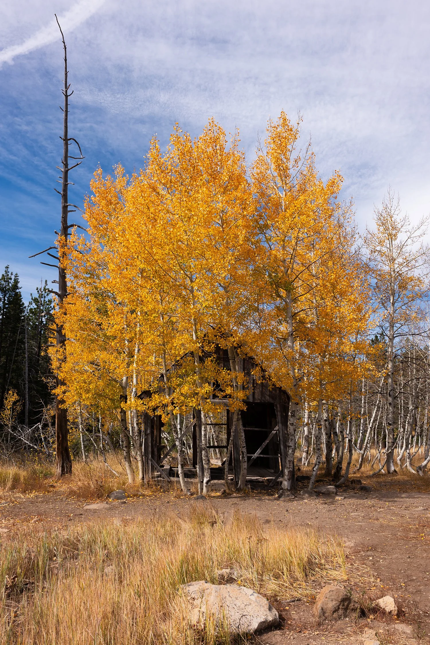 David Mullin Photography