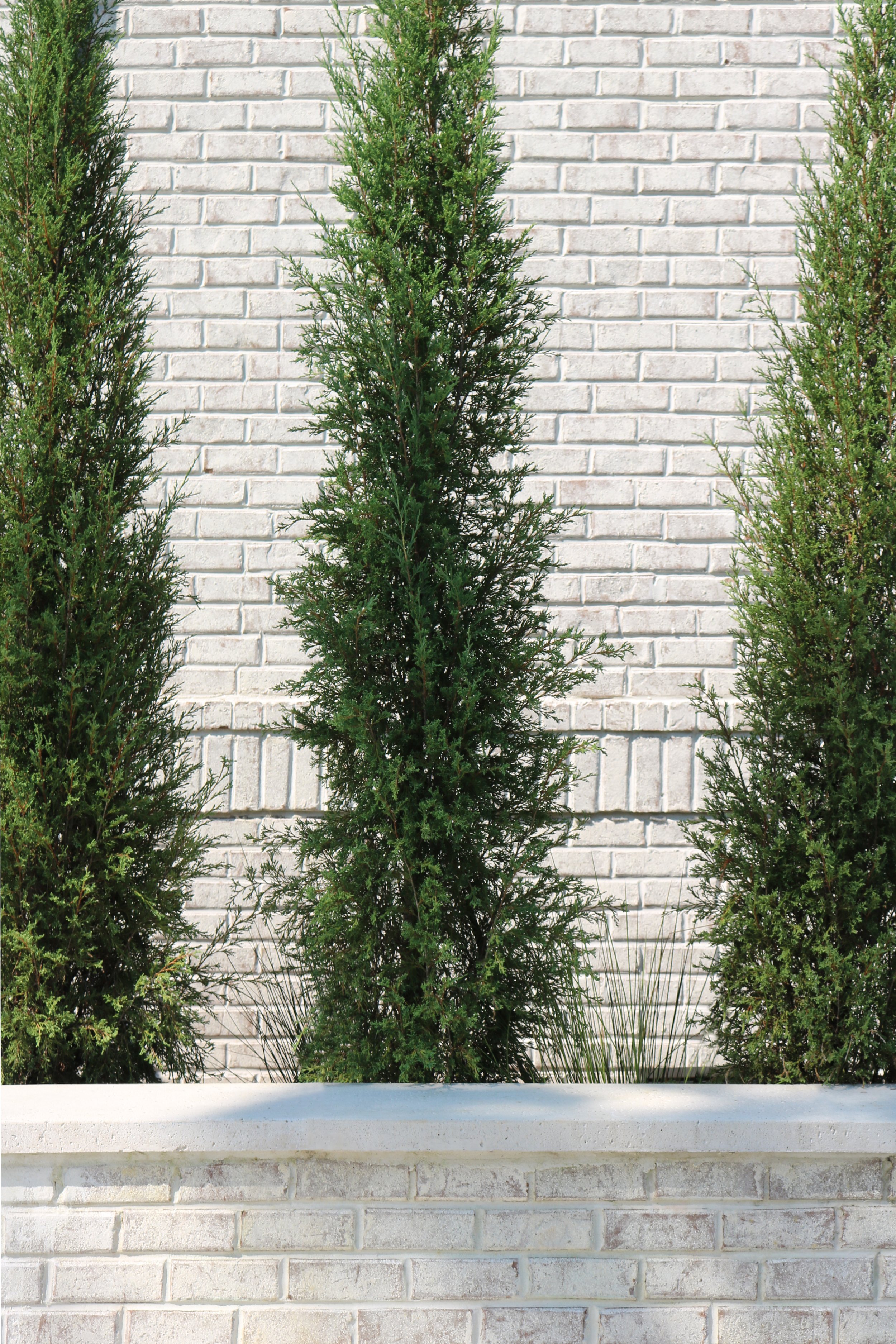 DUNHAM HOUSE — BOYD ARCHITECTS