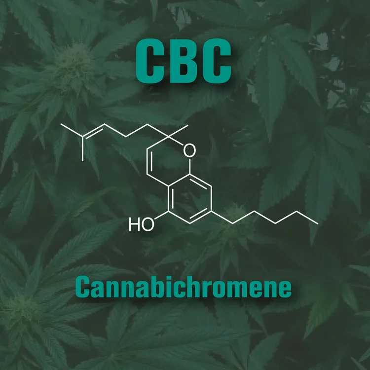 Minor Cannabinoids: What are the Benefits [The Next Cannabinoid ...
