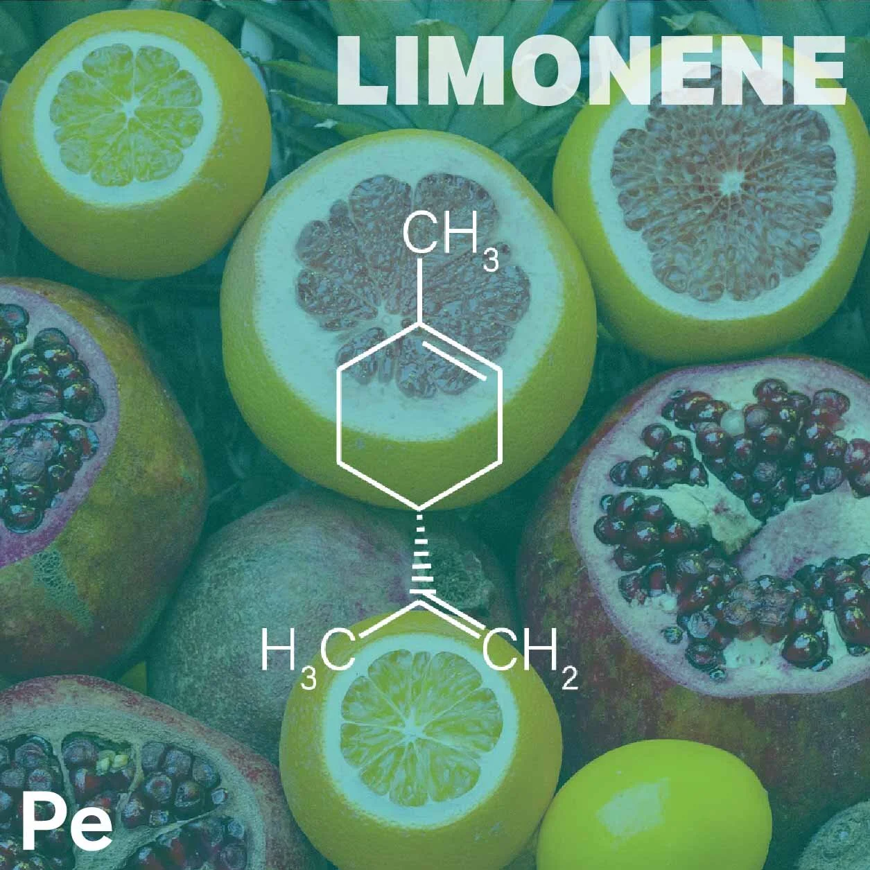 Meet the Main Terpenes of Cannabis — Periodic edibles
