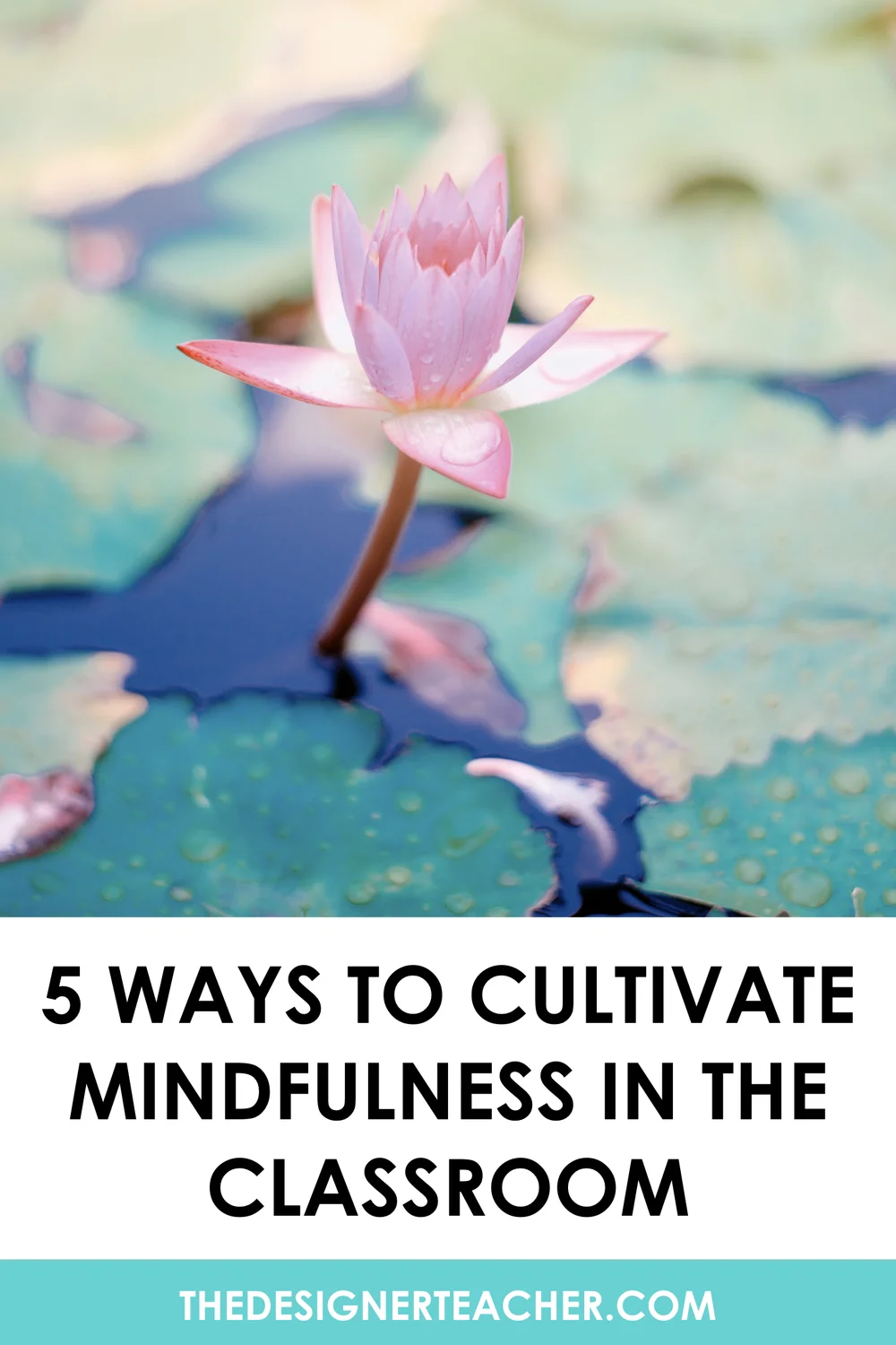 5 Ways to Cultivate Mindfulness in the Classroom — The Designer Teacher