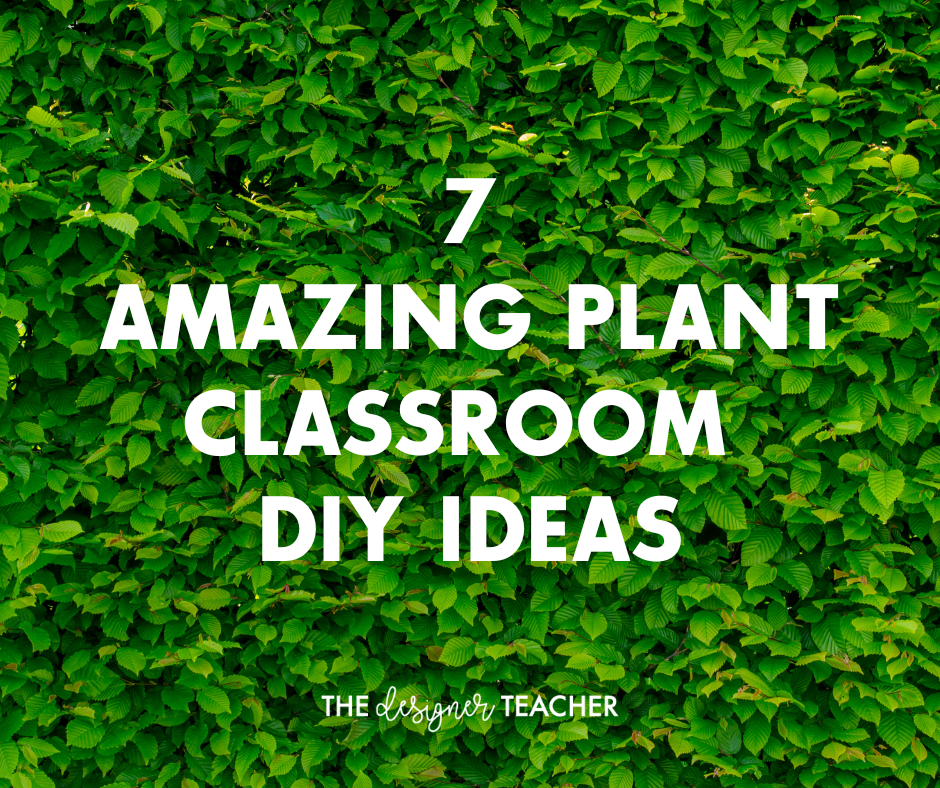 7 Amazing Plant Classroom DIY Ideas — The Designer Teacher