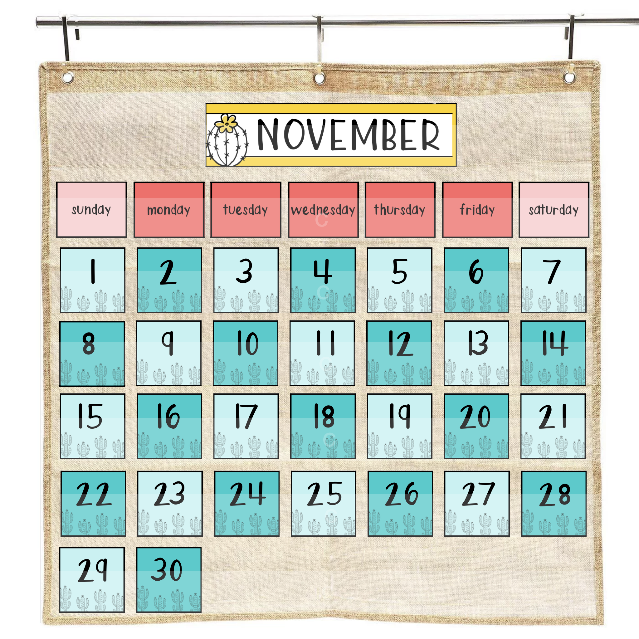 Cactus Theme Classroom Decor — The Designer Teacher