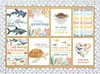 Ocean and Under the Sea Classroom — The Designer Teacher
