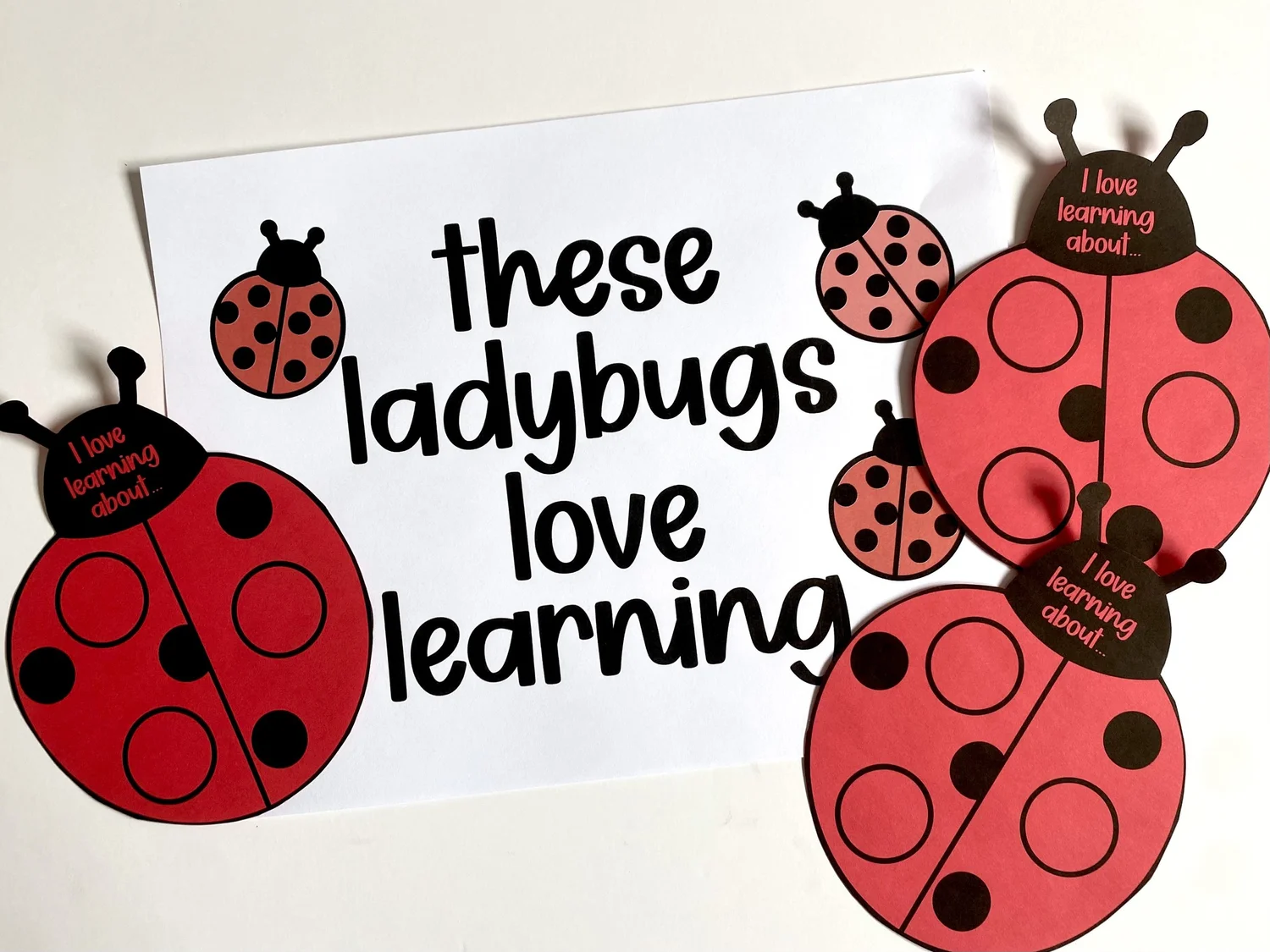 5 April Bulletin Board Ideas — The Designer Teacher