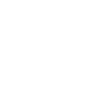 Phantom Series — FlowCore Systems