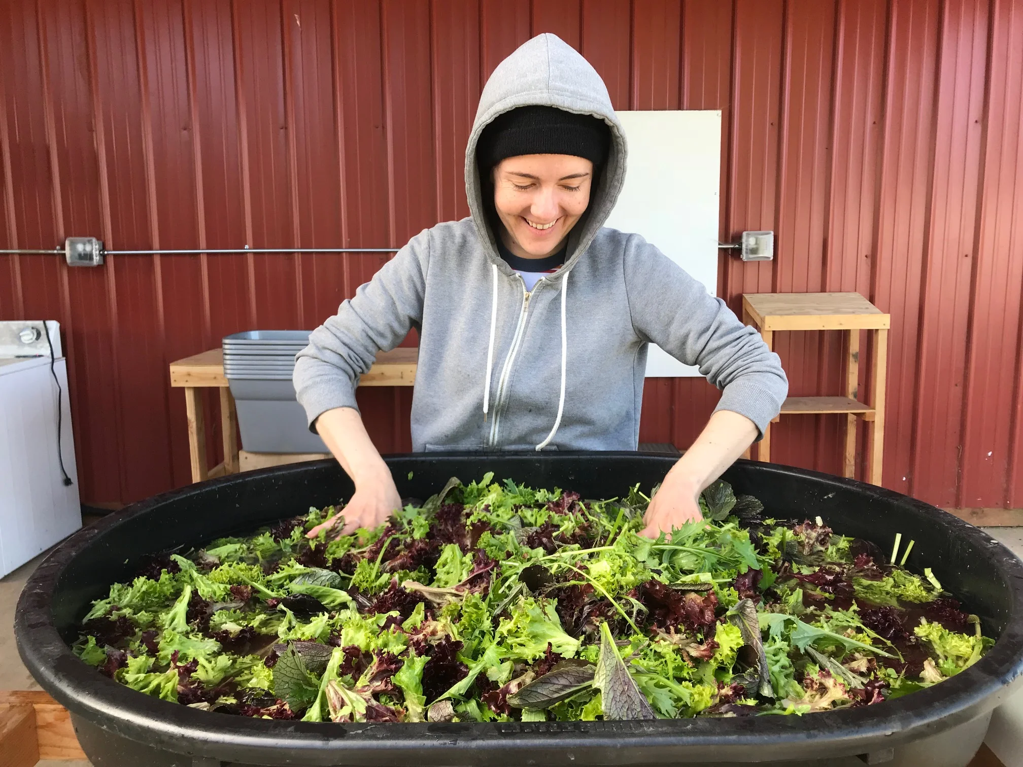 The Farm — Mora Mora Farm