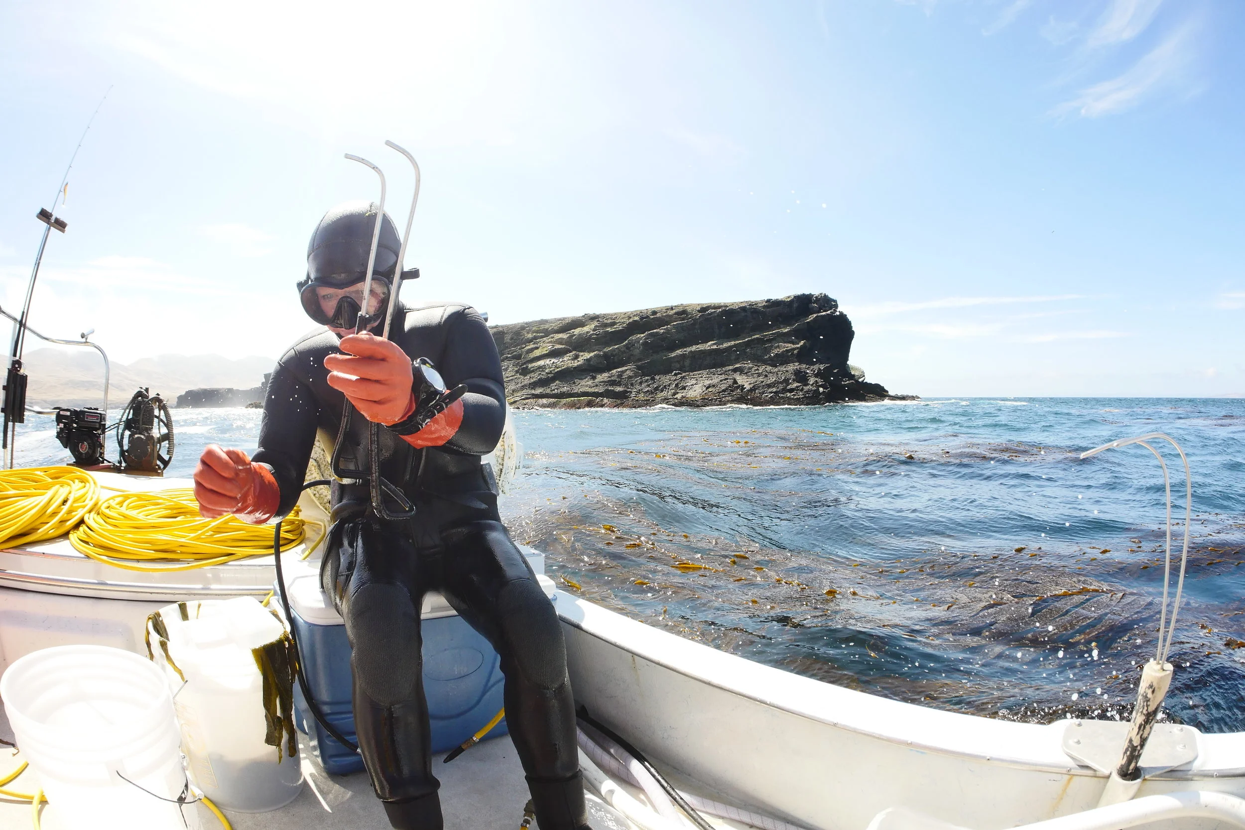 About — Sea Stephanie Fish