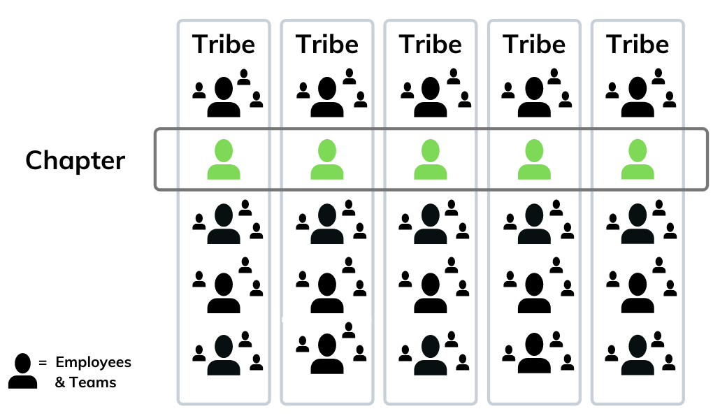 Organic Organization Model: Definition & Examples