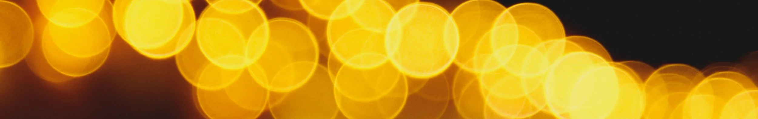 Kindling Curiosity: How to Inspire a Passion for Learning in Your Child ...