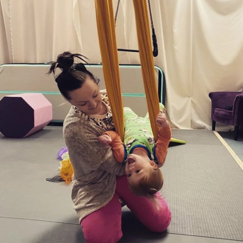 Rebel Manifesto Aerial