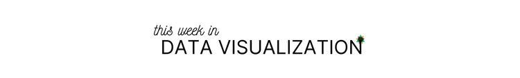 Data Visualization Society