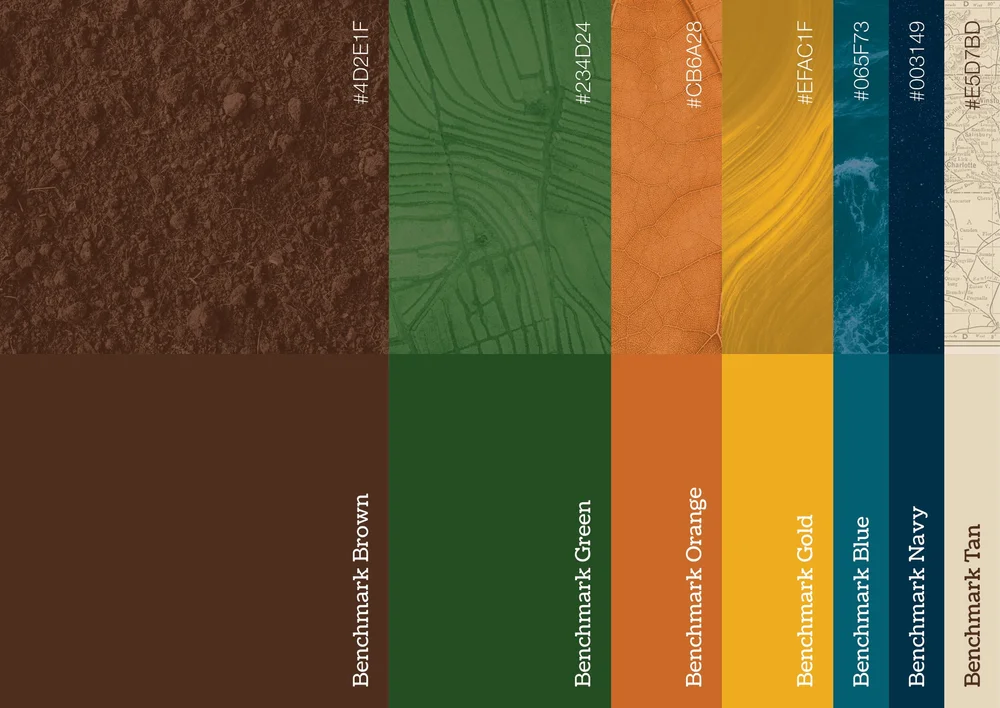 Benchmark CBD — MATTHEW FLUKE