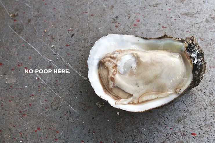 9 Things To Know About Oysters: Myths, Facts, and Trivia — In A Half ...