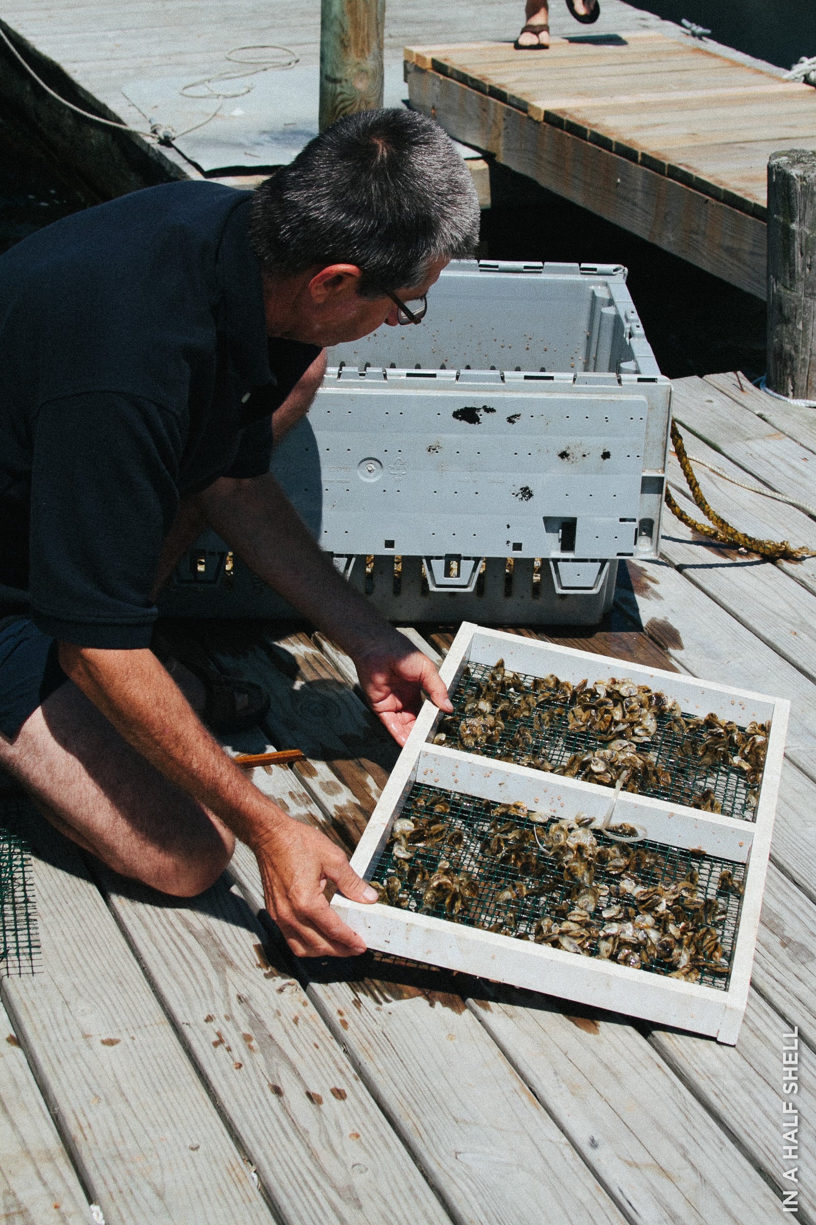 Blue Island Shellfish Farm Tour — In A Half Shell