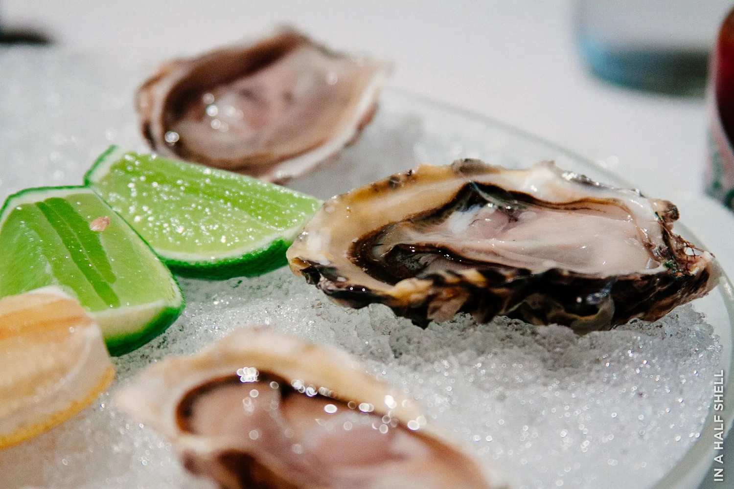 Best Oysters to Travel the World For — In A Half Shell : A Bivalve ...