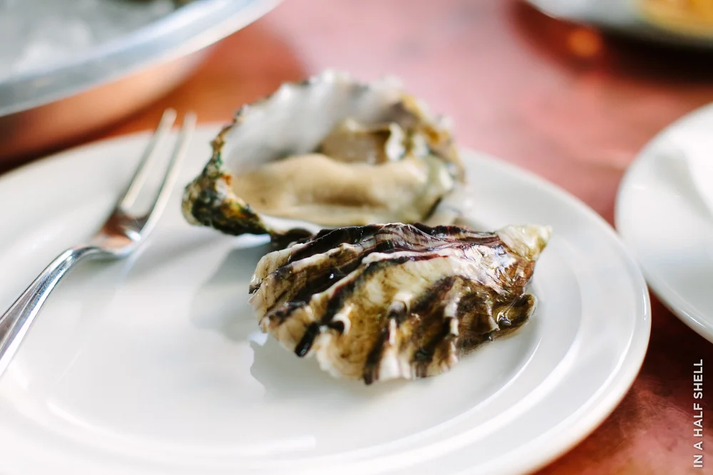Secrets Uncovered by the Oyster Shell — In A Half Shell : A Bivalve ...